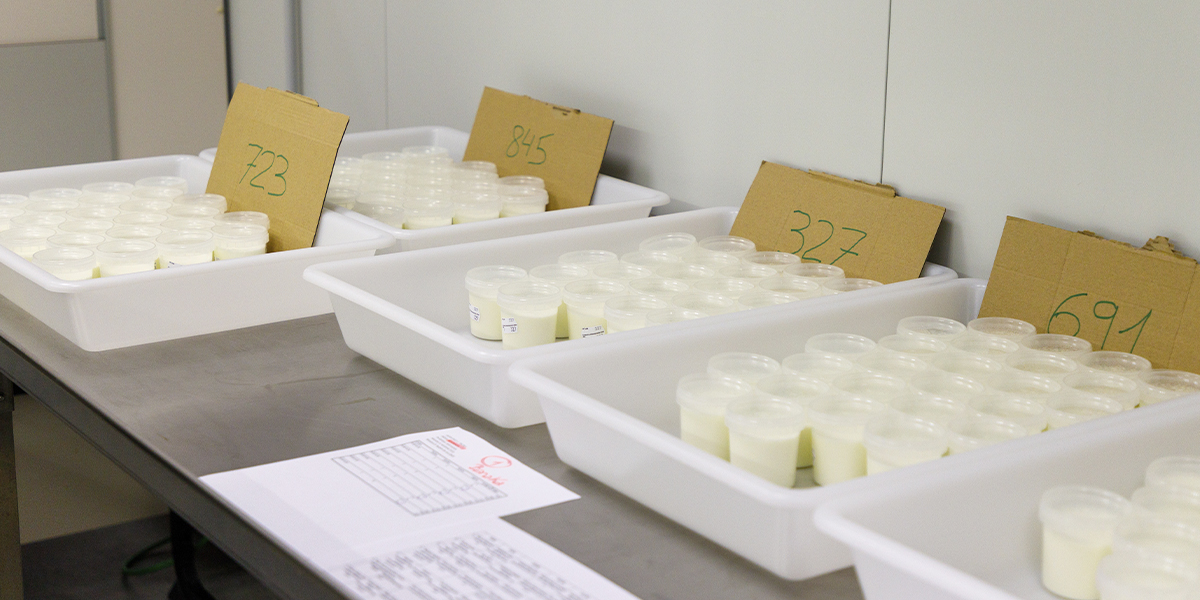 Análisis sensoriales o catas de lácteos como herramientas de validación ...